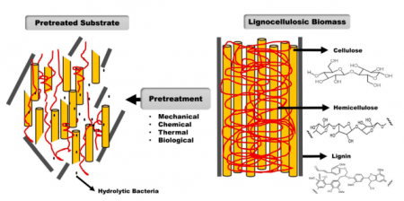 Enzymatic processes - Tech4Biowaste